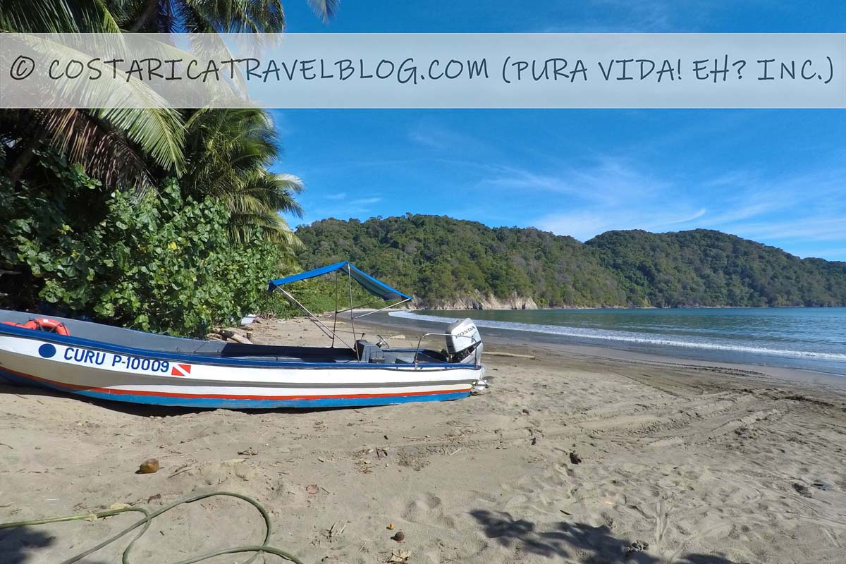 (2021) Photos of Playa Curu Costa Rica (Nicoya Peninsula) From Our ...