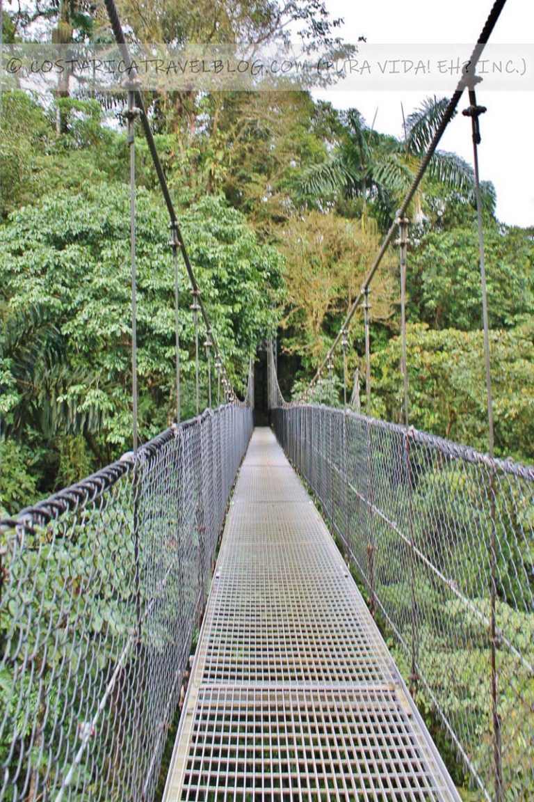 [2026] A Step-By-Step Guide To The Mistico Arenal Hanging Bridges Park ...