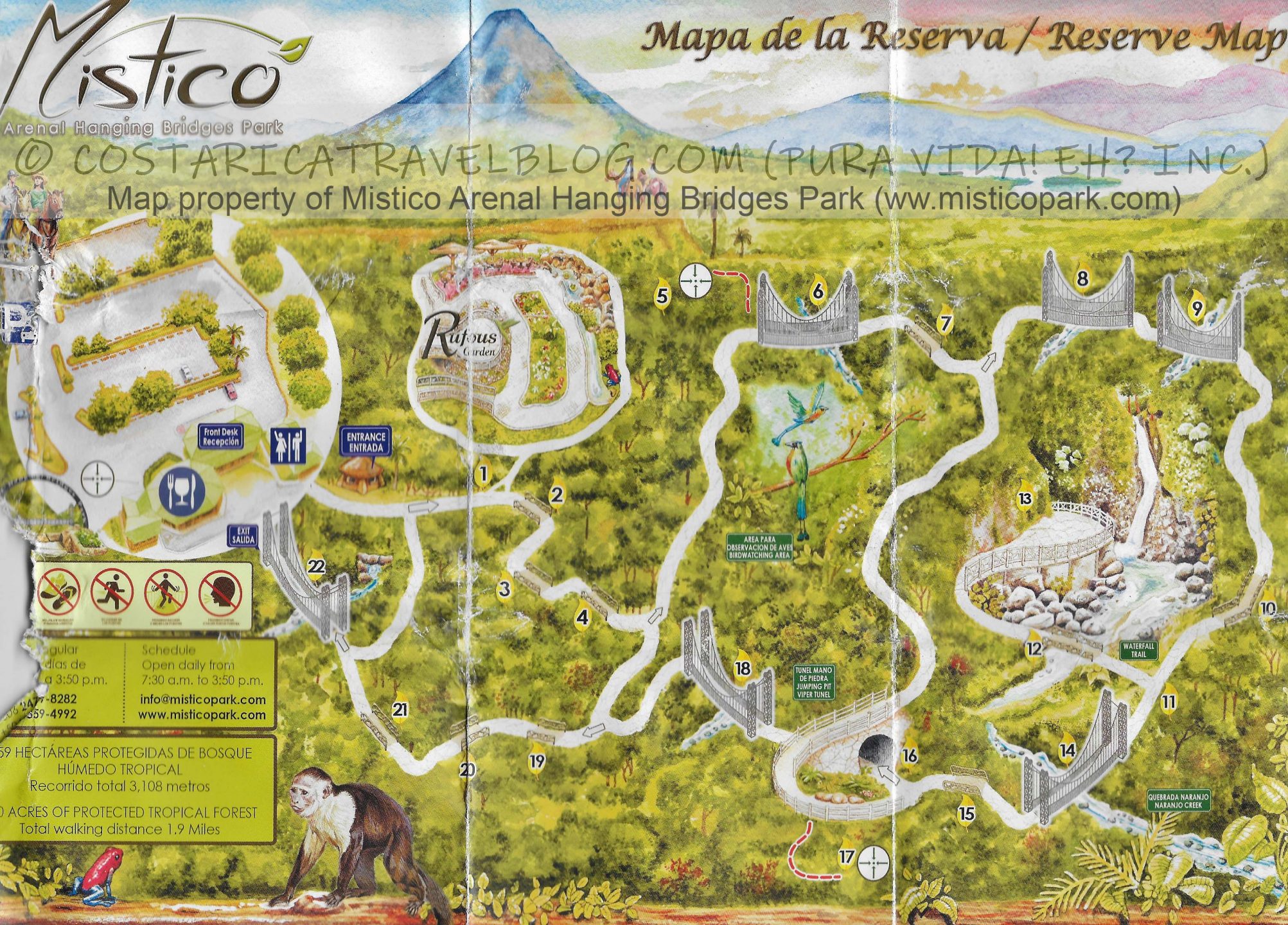 [2025] Mistico Park or Sky Walk/Adventures: Which Arenal Hanging ...