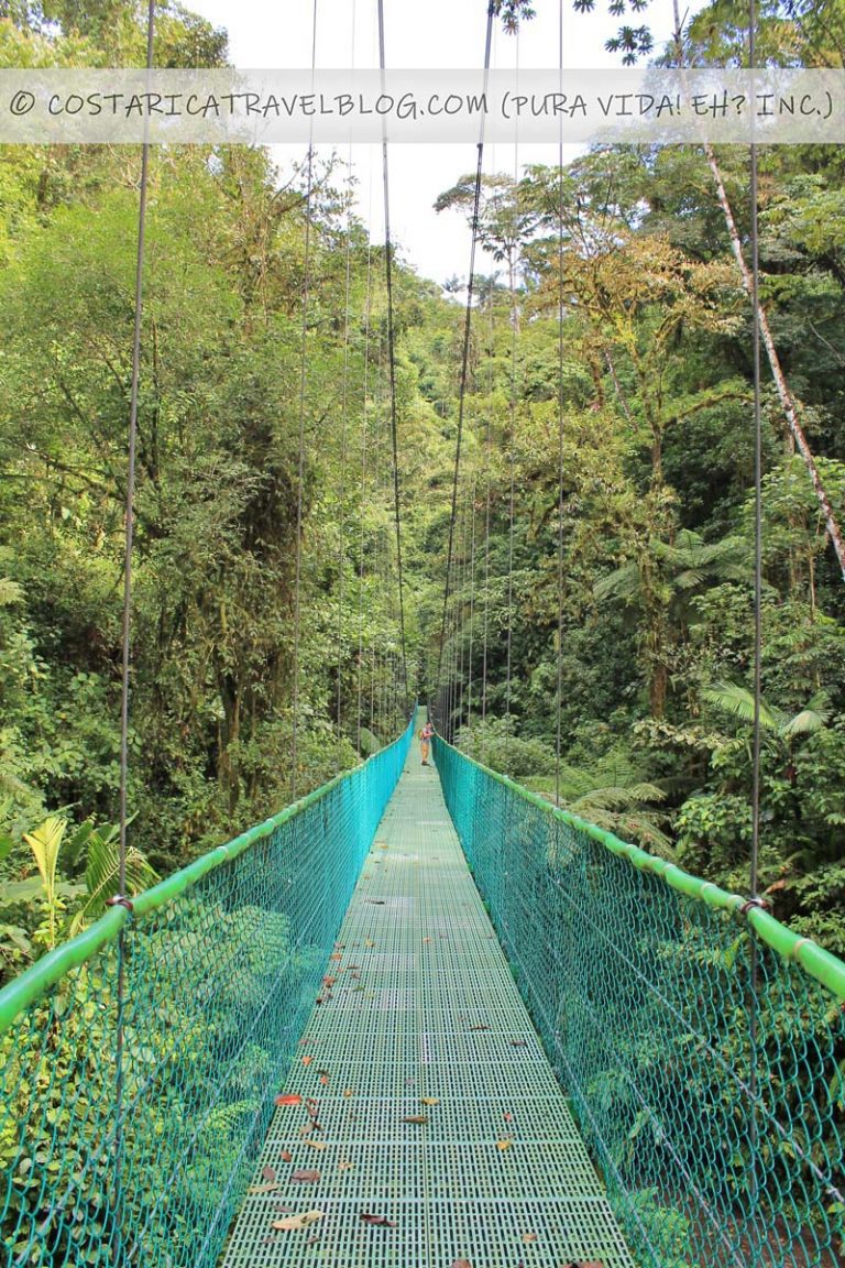 [2025] Arenal Sky Walk Hanging Bridges (Sky Adventures): Everything You ...