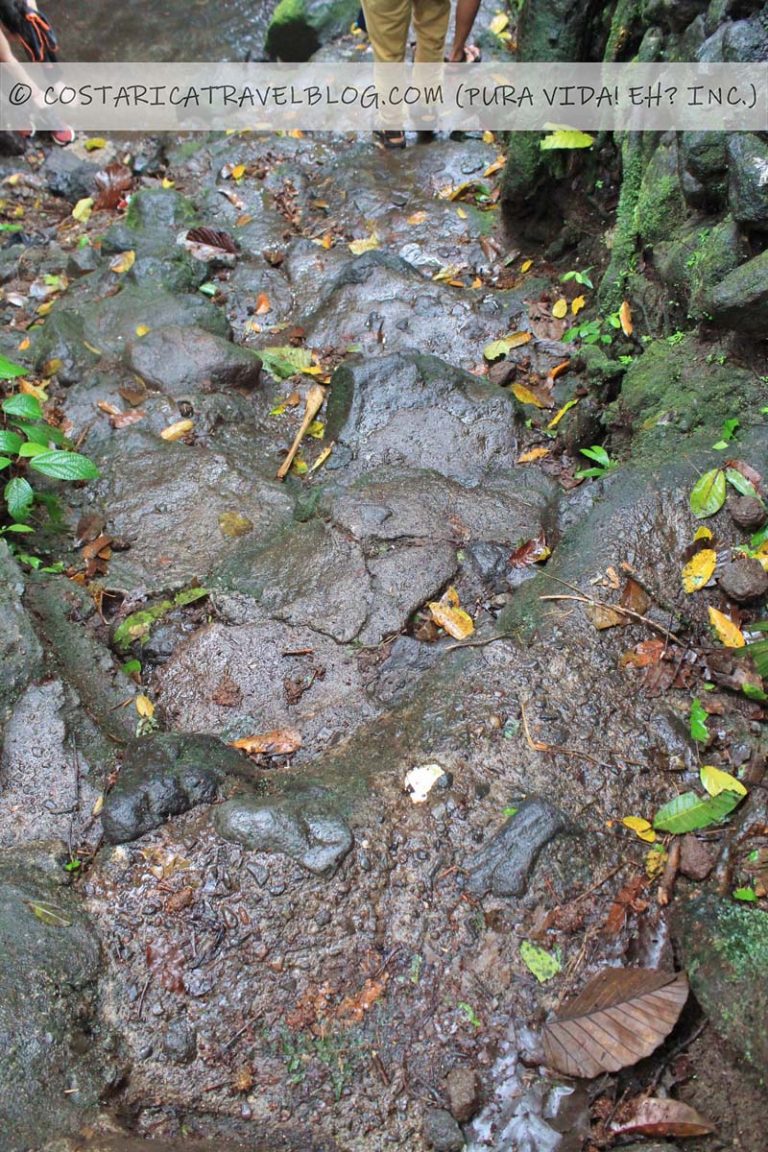 [2026] Rio Chollin/Choyin: Local Free Hot Springs in La Fortuna/Arenal ...