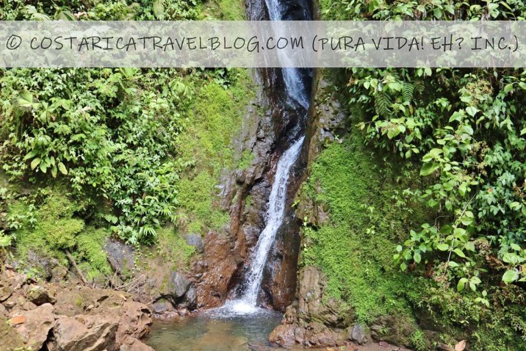 [2025] 25+ Costa Rica Waterfalls & How To Visit Them During Your Trip ...