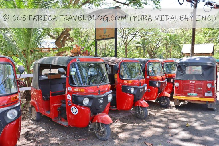 [2025] Costa Rica Transportation: 15 Ways To Get Around Costa Rica ...