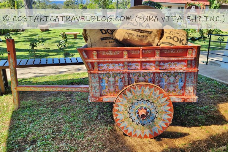 [2025] Visiting The Hacienda Doka Coffee Farm—Photos And Brief (5 ...