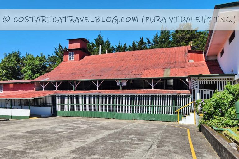 [2025] Visiting The Hacienda Doka Coffee Farm—Photos And Brief (5 ...
