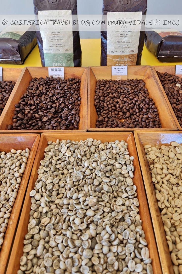 [2025] Visiting The Hacienda Doka Coffee Farm—Photos And Brief (5 ...