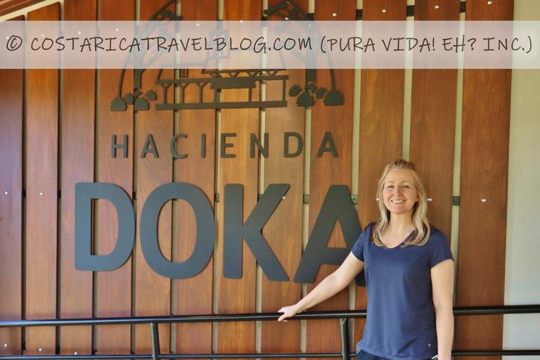 [2025] Visiting The Hacienda Doka Coffee Farm—Photos And Brief (5 ...