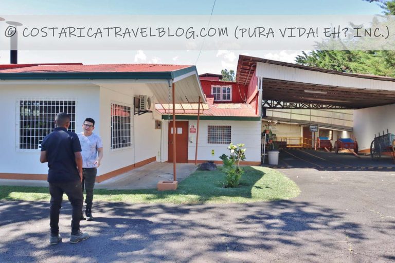 [2025] Visiting The Hacienda Doka Coffee Farm—Photos And Brief (5 ...