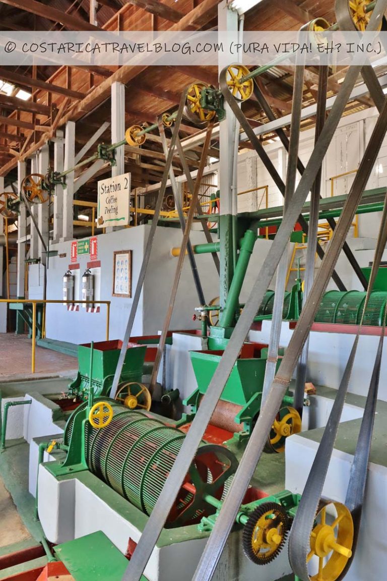 [2025] Visiting The Hacienda Doka Coffee Farm—Photos And Brief (5 ...