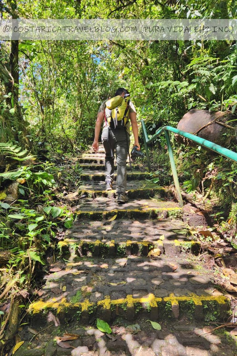 [2025] Monteverde Treetop Walkways Hanging Bridges (Selvatura Park ...